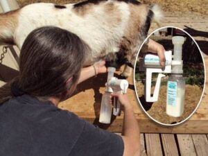 Udderly EZ Goat Milker - EZ Animal Products